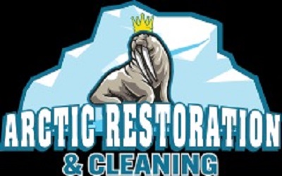 » Arctic Restoration and cleaning